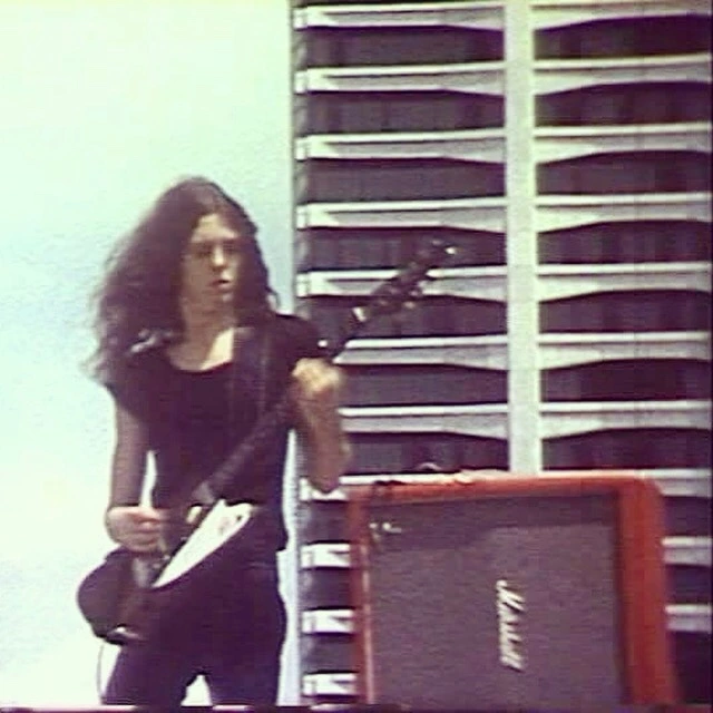 Firebird Pickups: The Definitive Guide to Firebird Mini Humbuckers